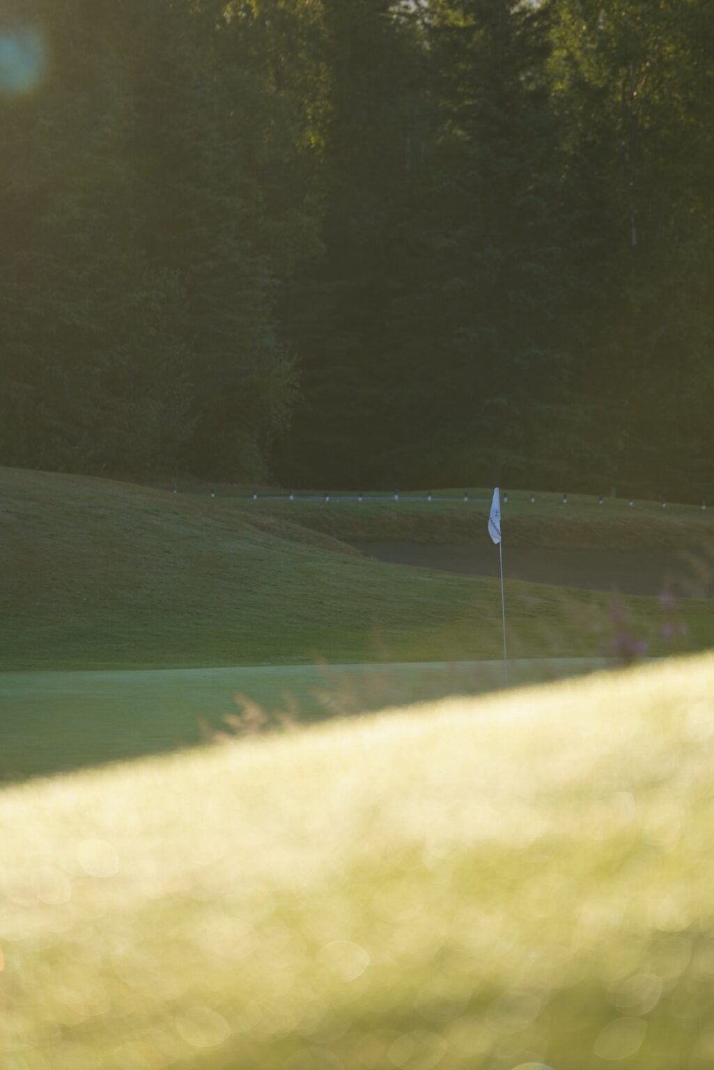 Membership – Alaska Golf Association